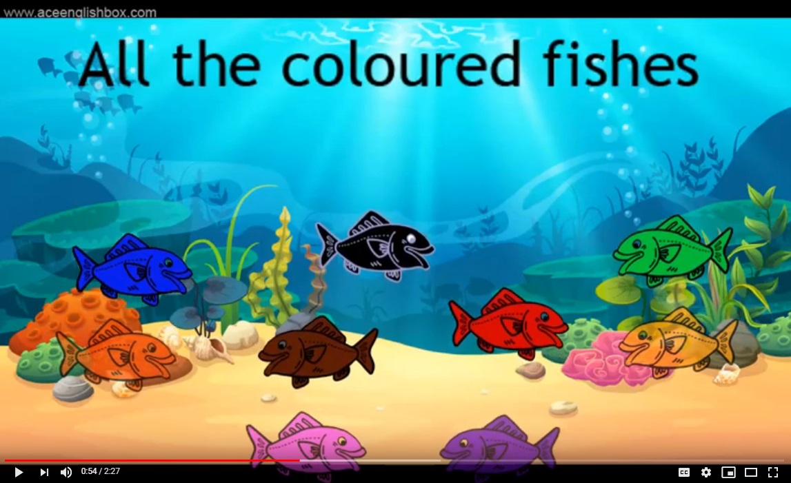 Fish – ACE English Project